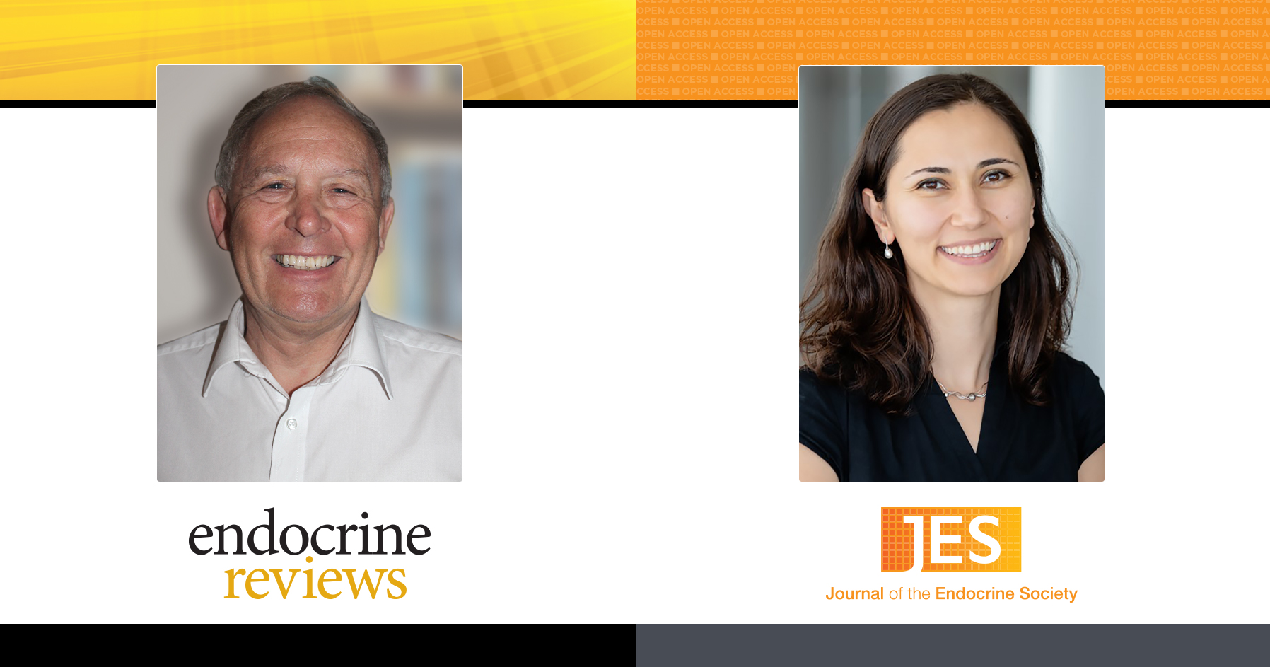 Endocrine Society names new Editors-in-Chief of Endocrine Reviews ...