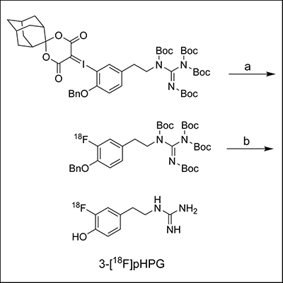 3-[18F]Fluoro-para-hydroxyphenethylguanidine (3-[18F]pHPG) PET—A Novel ...