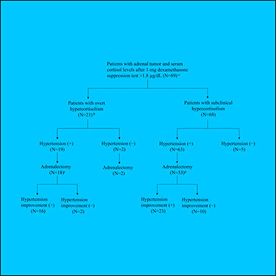 Aldosterone and Hypertension in Hypercortisolism | Endocrine Society