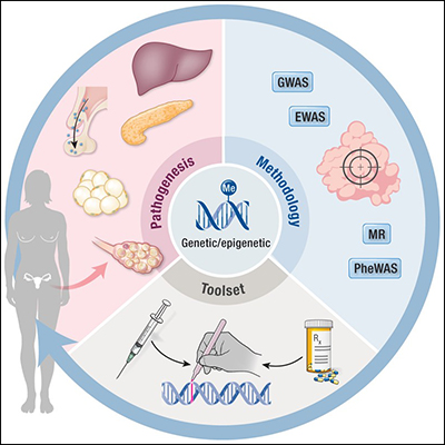 Genetic and Epigenetic Landscape for Drug Development in PCOS ...