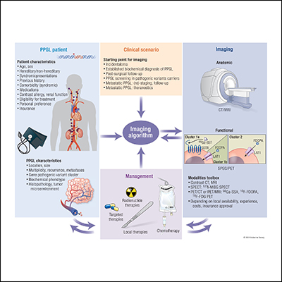 Imaging of Pheochromocytomas and Paragangliomas | Endocrine Society