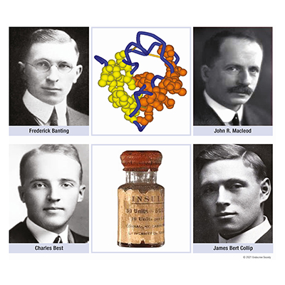 Insulin Discovery 100th Anniversary | Endocrine Society