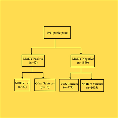 MODY Probability Calculator Is Suitable for MODY Screening in China ...