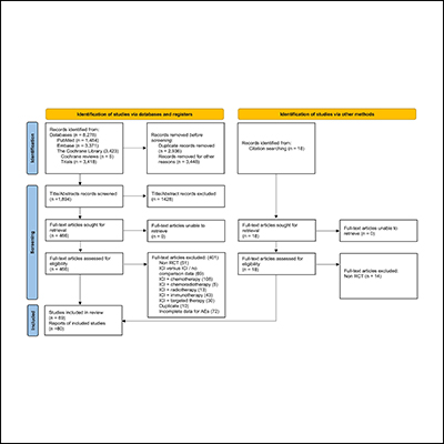 Risk and Incidence of Endocrine Immune-Related Adverse Effects Under ...