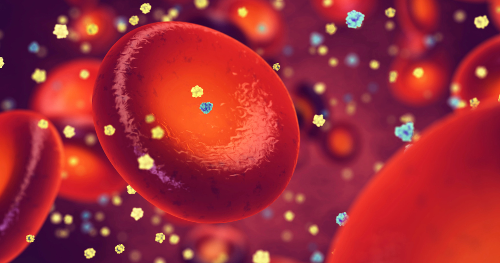 Ask the Expert: A Patient Approach to Preventing Hypoglycemia ...